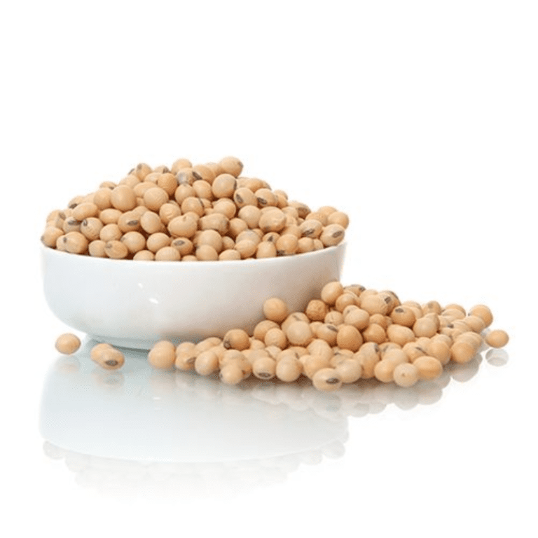 Buy Soya bean at Best Price in Pakistan
